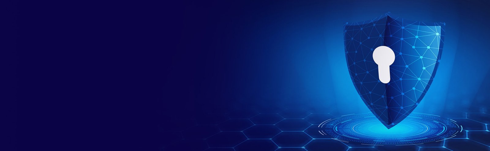 Privacy Policy - Interactive Technologies Gateway